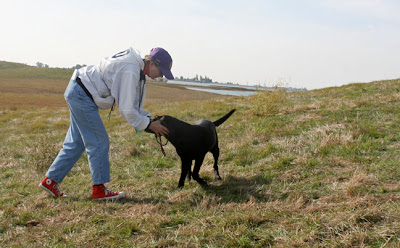 2011 NRC Blog: Nov 13, 2011