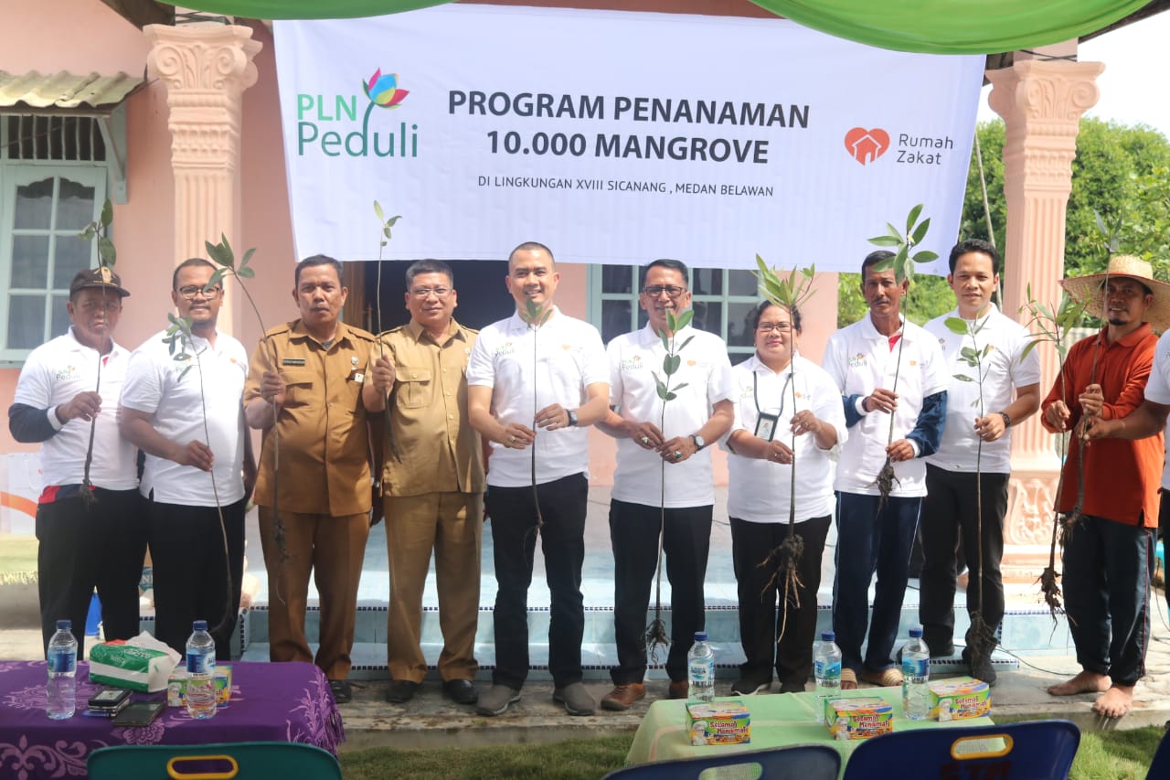 Lestarikan Lingkungan, PLN Tanam Ribuan Mangrove | Metrokampung.com Lestarikan Lingkungan, PLN Tanam Ribuan Mangrove | Metrokampung.com