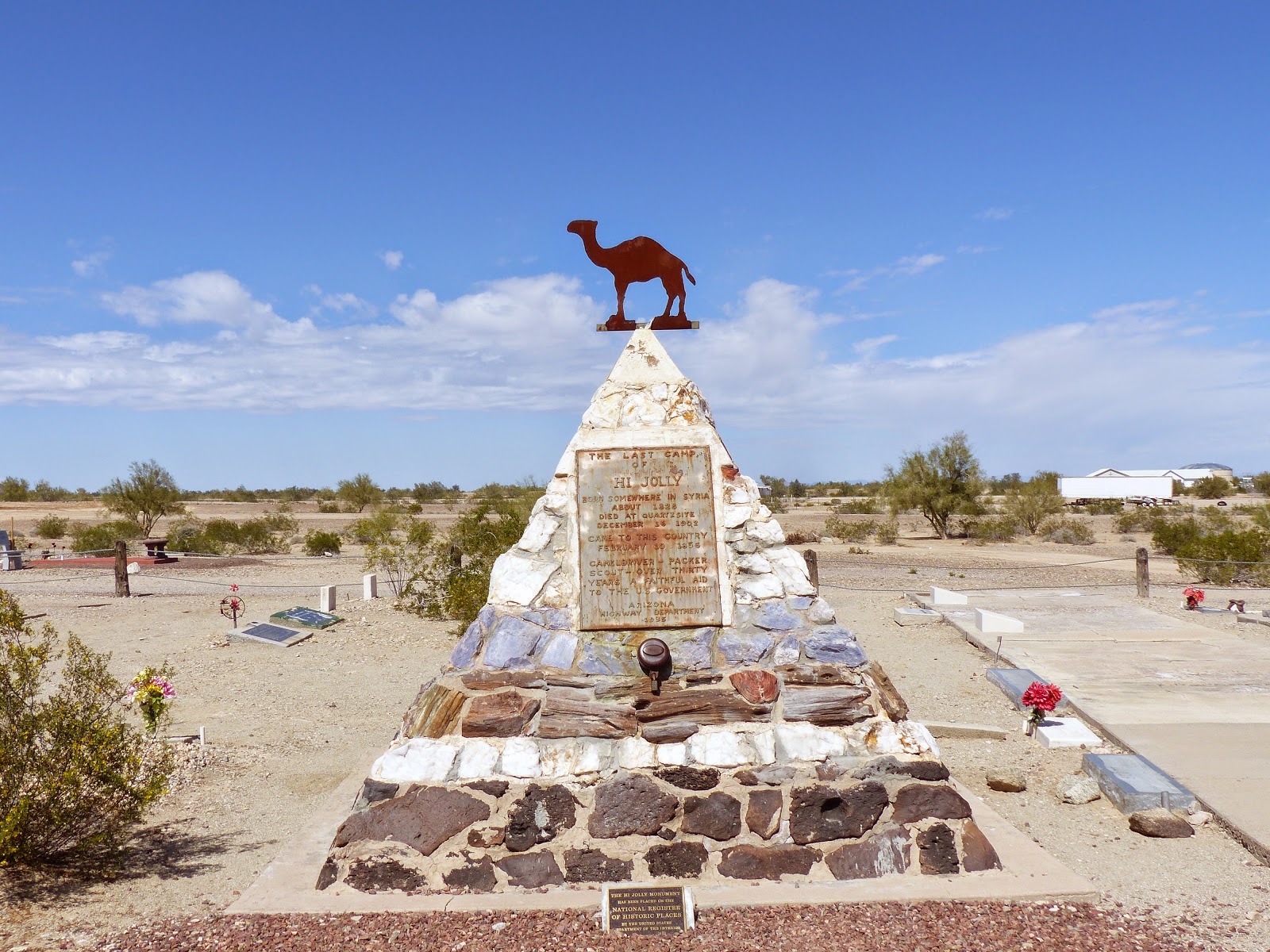 Land Cruising Adventure: Camels in the Arizona Desert?
