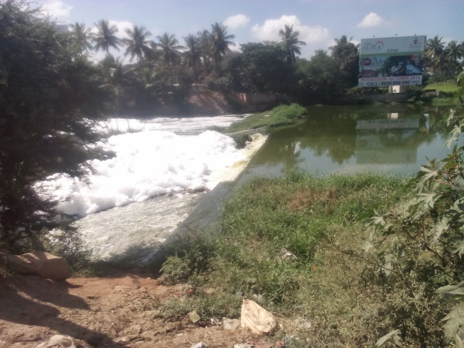 Bangalore's second largest lake and major Sewage Inlet: Varthur Lake ...