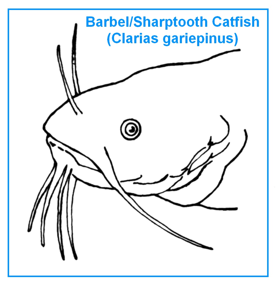 Kwaggaskloof Tourism