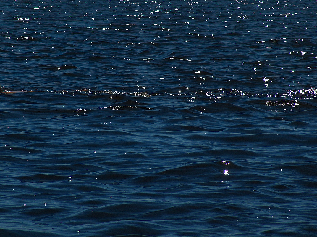 Instituut voor Gaialogie: Kostbaar Levend Water