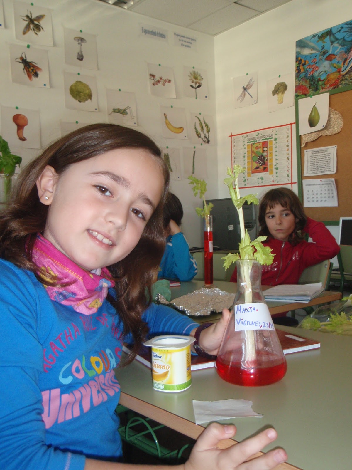 SALUD Y ALIMENTACIÓN: apio y colorante rojo