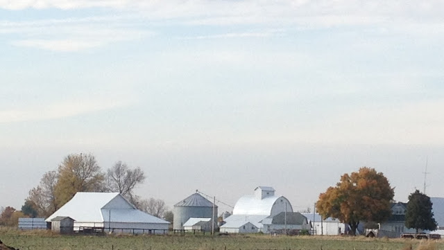 Amish Horses: Amish Fall