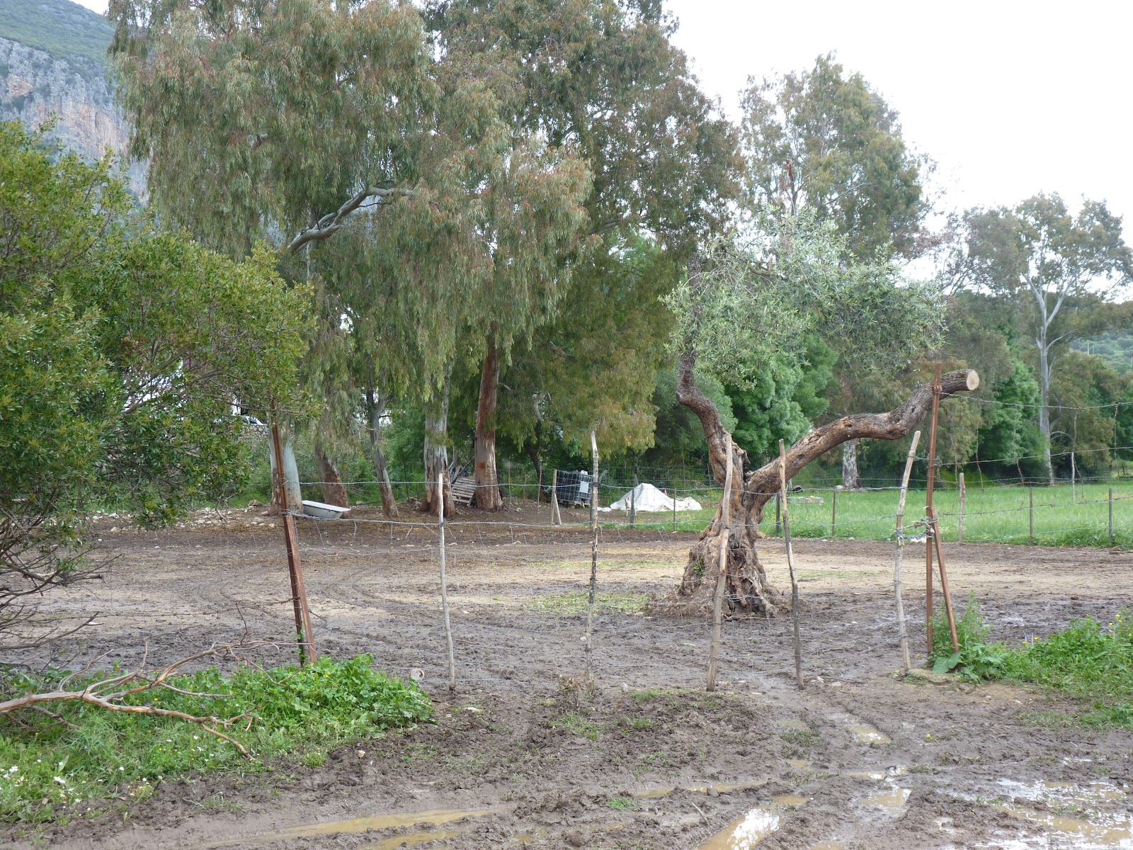 Manuel Cabello y Esperanza Izquierdo: "El blog de Ocurris". "Ubrique en ...