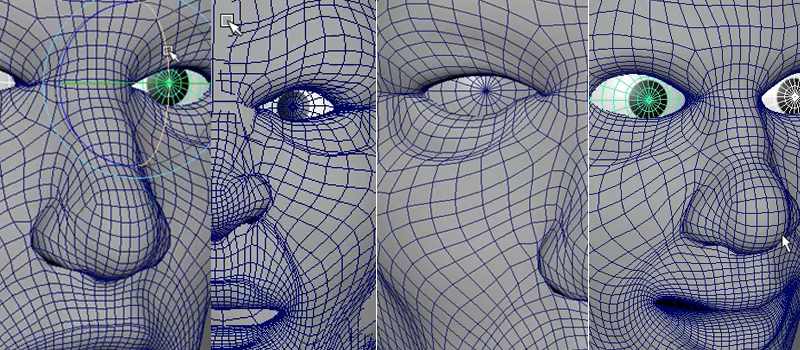 Facial Topology , Wire Loops