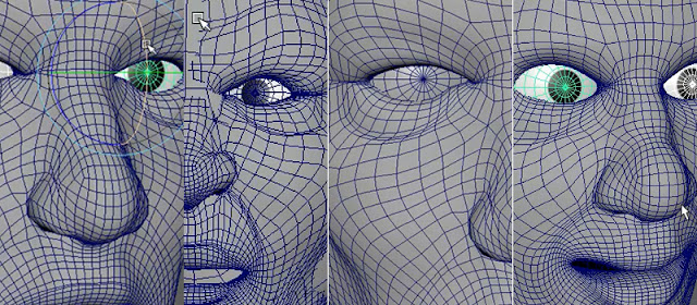 Facial Topology , Wire Loops