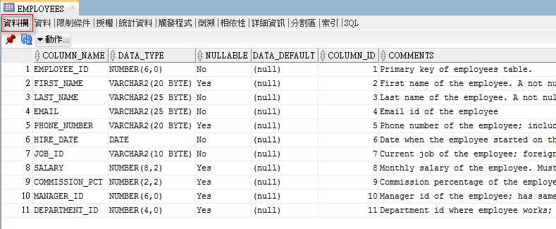 Java程式教學甘仔店 Oracle Db Oracle Sqldeveloper工具基本使用用法教學之1