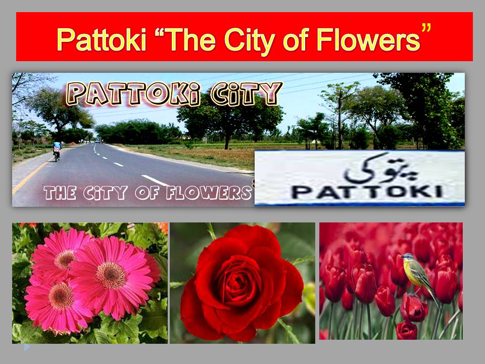 Spreebird: Pattoki “The City of Flowers