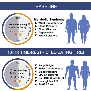 Intermittent Fasting and Time-Restricted Eating (TRE) 2023: The Science ...