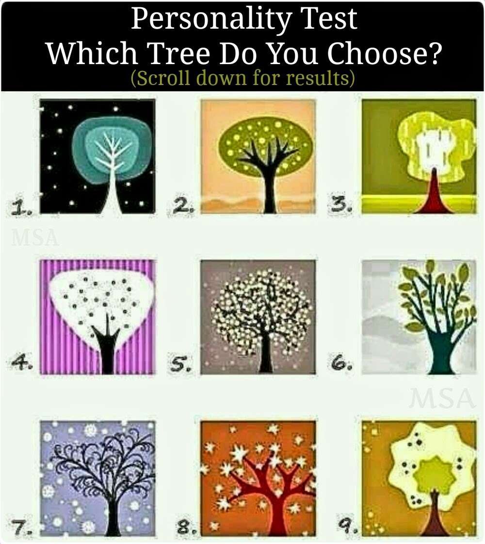 MindSpaceApocalypse Insainment