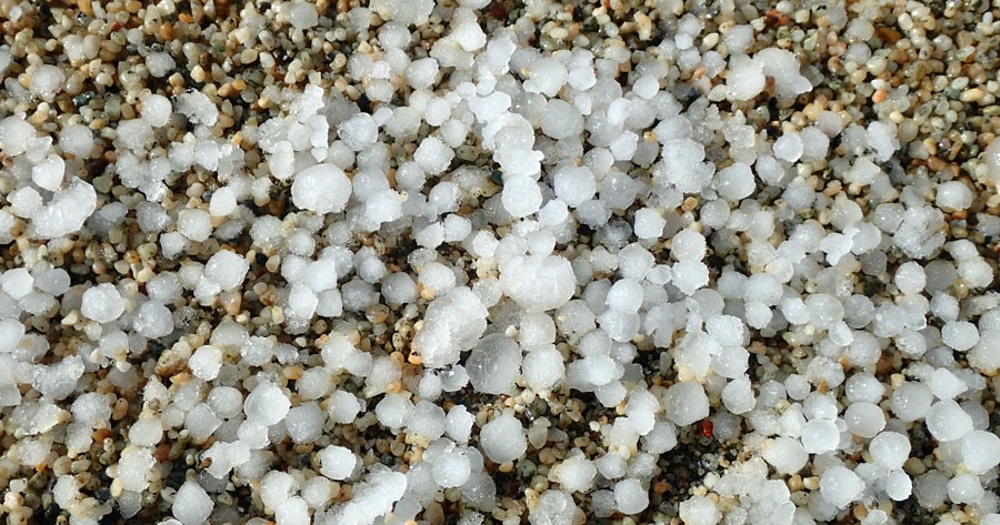 The Natural History of Bodega Head: Hail 2 March