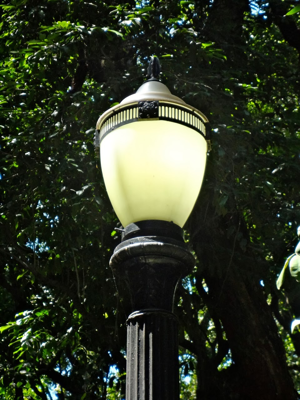 Parque Trianon ou Tenente Siqueira Campos em São Paulo ~ Áreas Verdes ...