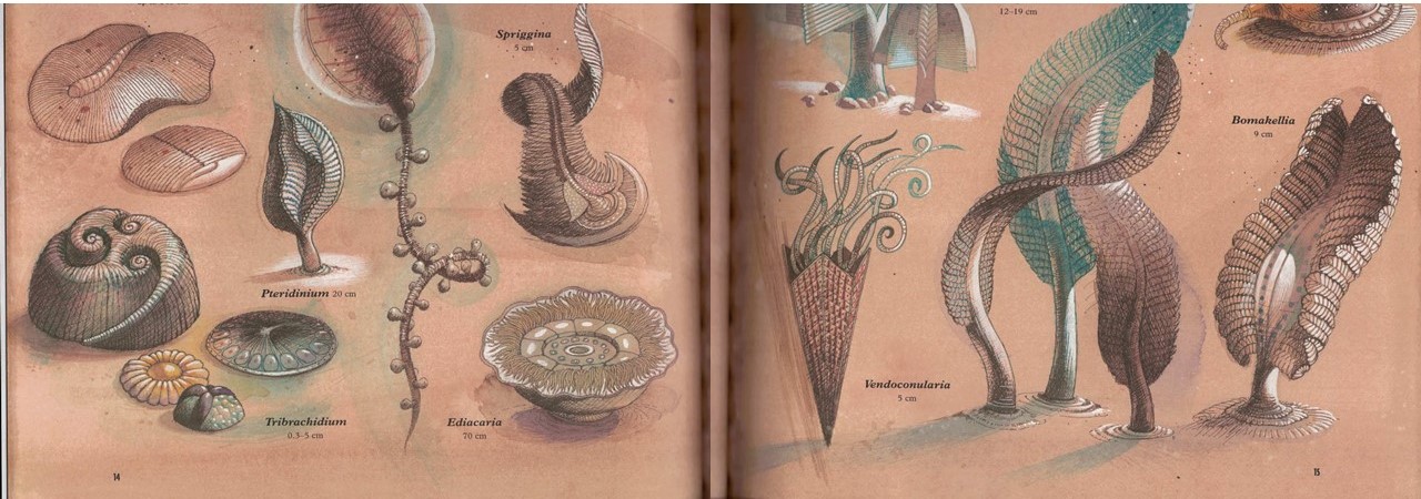 Manospondylus: Solved and Unsolved Fossil Enigmas - Part 1