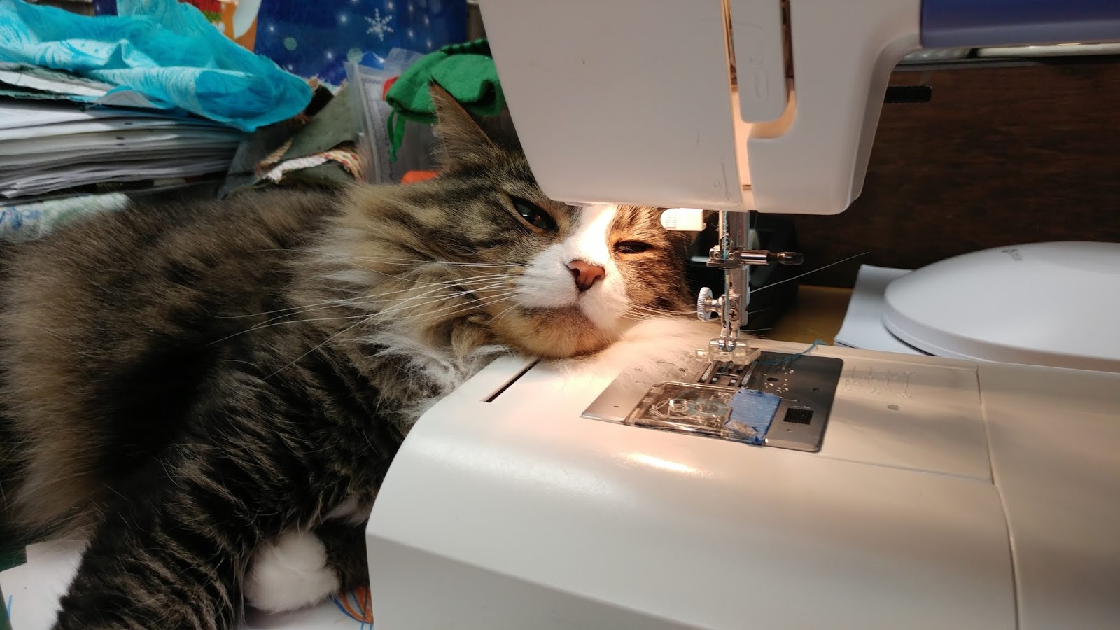 KOHATU Patterns: Tommy the Turtle. Pattern Released!