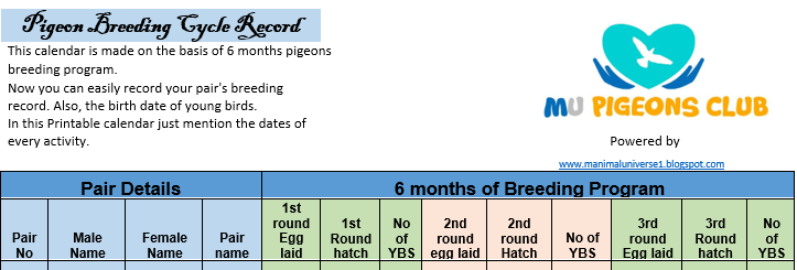 Free Printable Pigeon Breeding Cycle Record Sheet