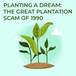 Planting a Dream: The Great Plantation Scam of 1990's
