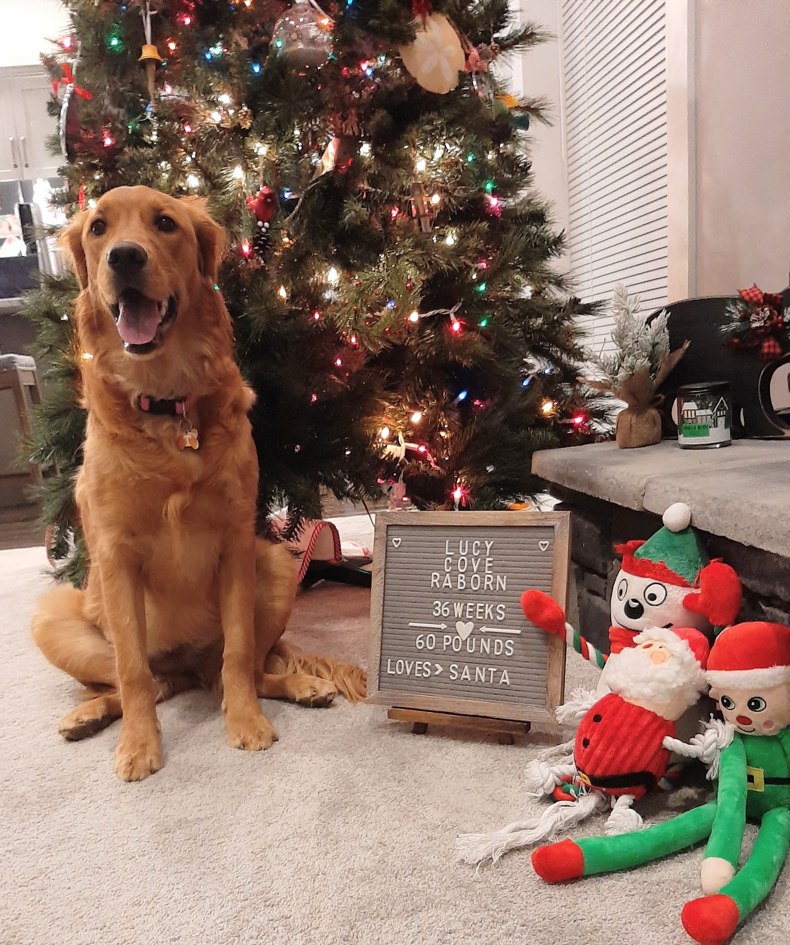 Newest Raborns on the Block!: Lucy Cove Raborn Growth Updates!