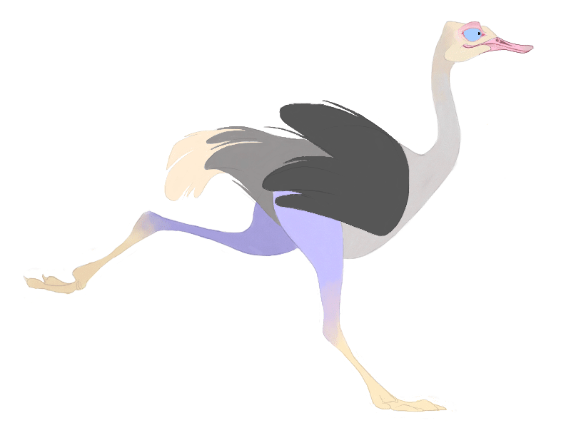 Coralie Soudet Blog: OSTRICH : run cycle
