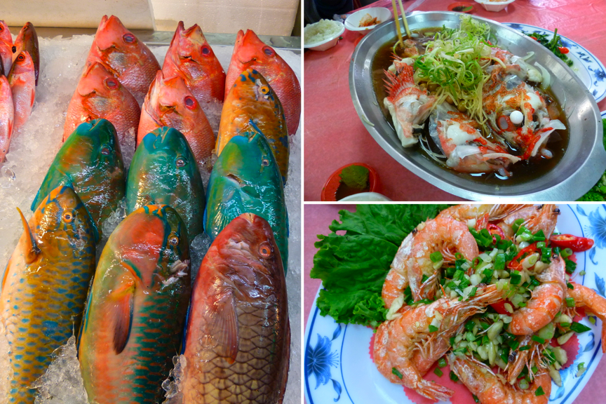 Wie ein Fisch im Wasser: Ein Kontinent, fünf Länder: Hab Dank für Speis ...