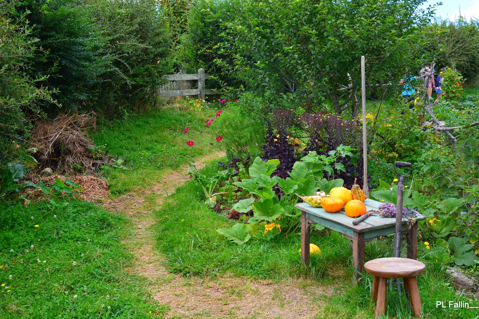 PL Fallin Photography: The Hobbit's Middle-Earth Flower and Vegetable ...