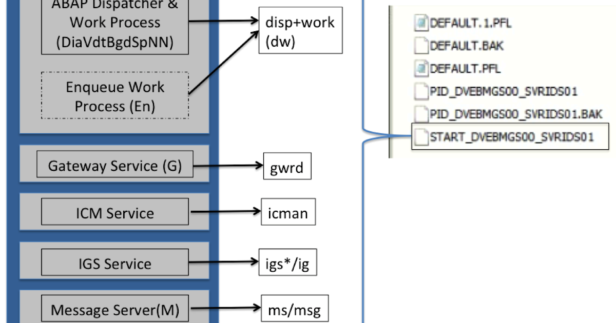 SAP Basis & HANA Tutorial