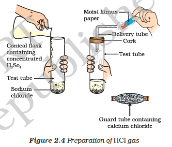 Class 10 Chapter 02 Acid Bases and Salt NCERT Activity Explanation ...