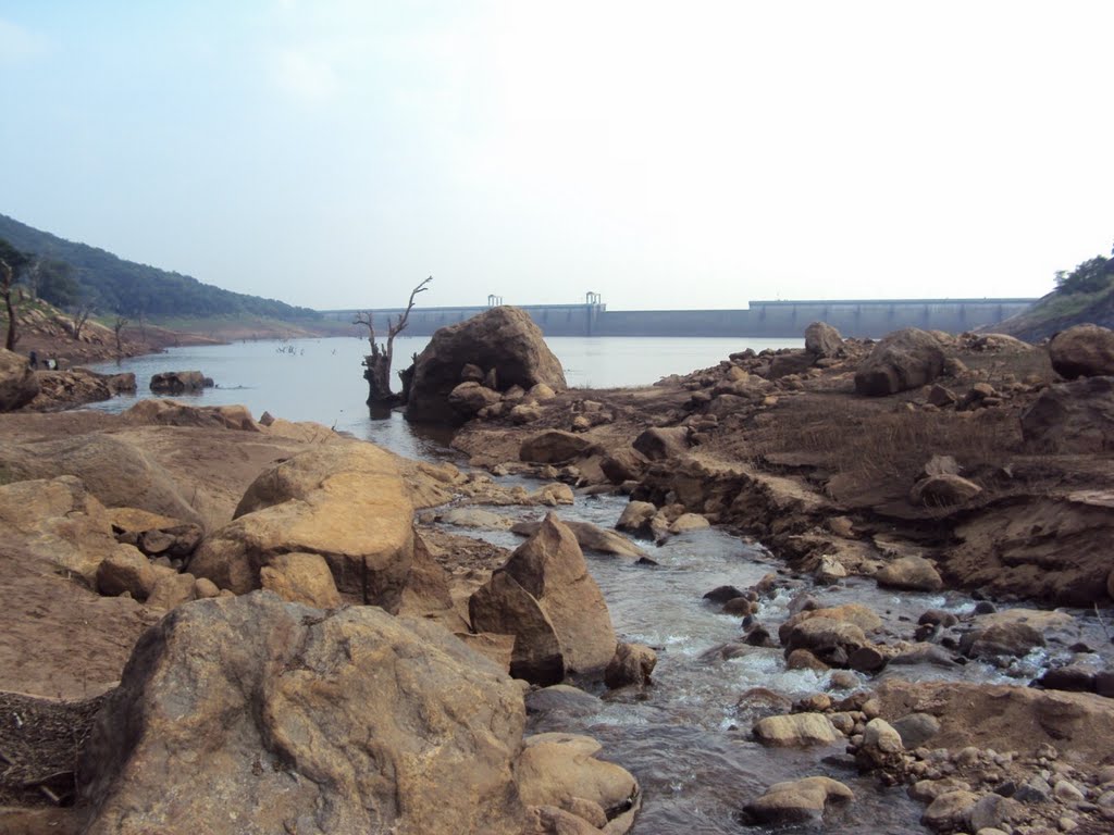 Tamilnadu Tourism: Adavinainar Dam, Sengottai, Thirunelveli