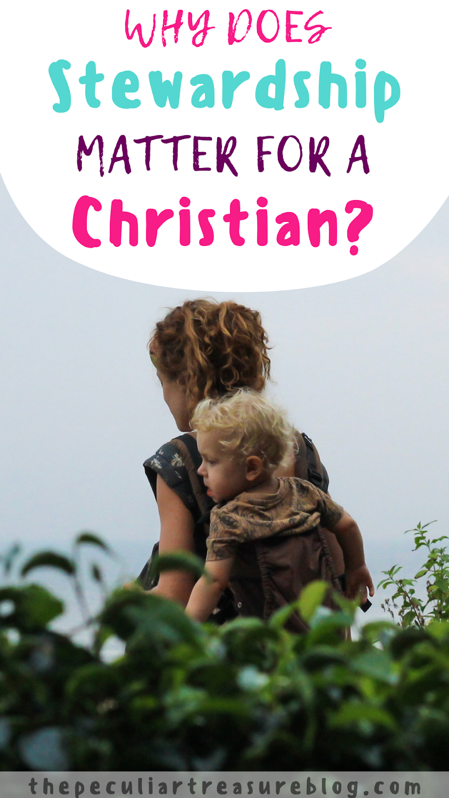 The Peculiar Treasure: Why Stewardship Matters for the Christian Life