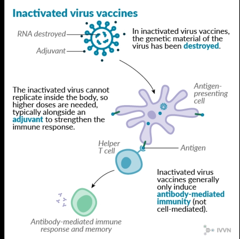 Minda Ke Tinta Dr.Rushdan Noor: VAKSIN COVID-19 VIRUS TERNYAHAKTIF DARI ...