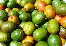 A QUIEN NO LE GUSTA DISFRUTAR DE UN BUEN JOCOTE?