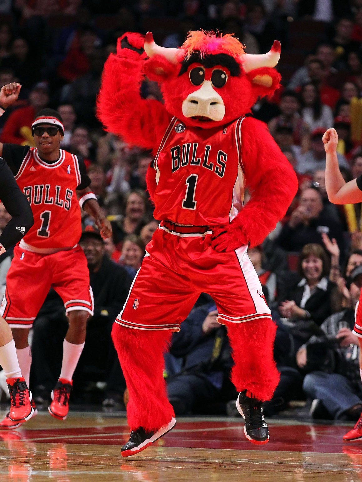 DA Bulls Blogger : Benny the Bull