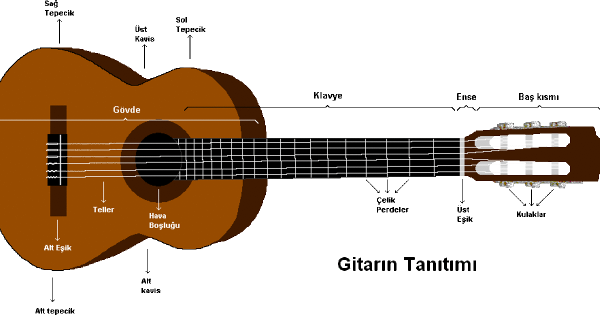 Gitarı Tanıyalım