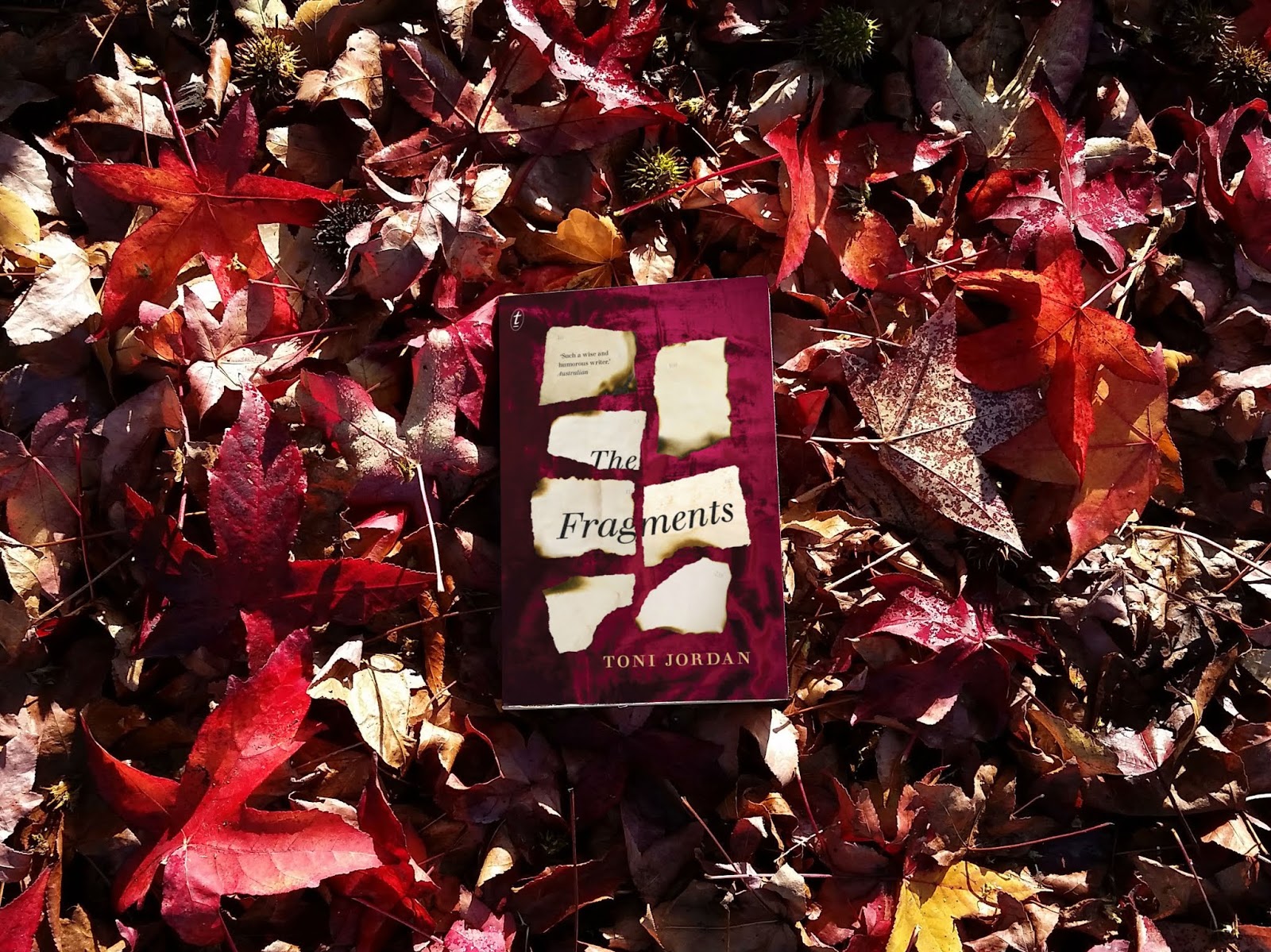 but books are better: Book Review: THE FRAGMENTS by Toni Jordan