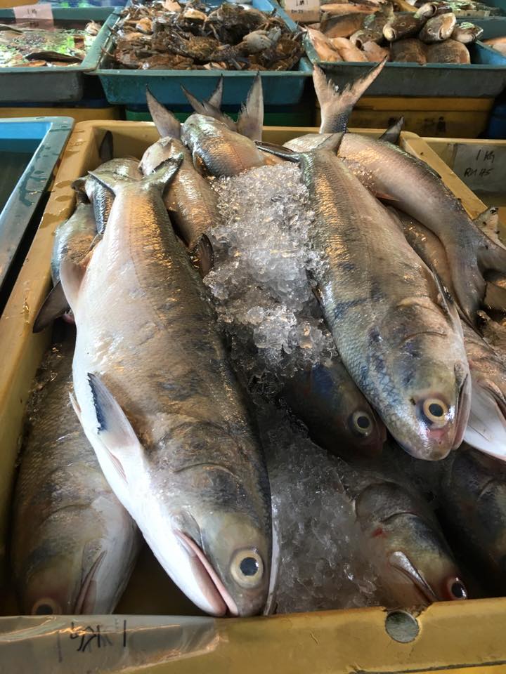 Ikan Fresh Murah (Mur Mur) near Jetty Pulau Indah, Klang