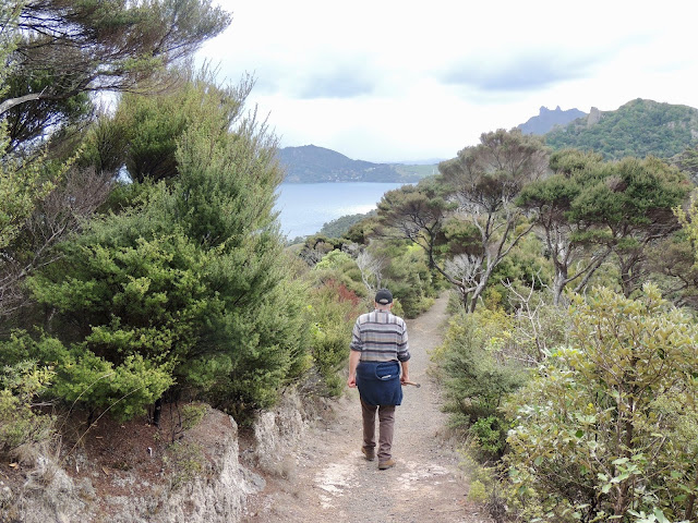 THE ROAD TAKEN : Busby Head Track
