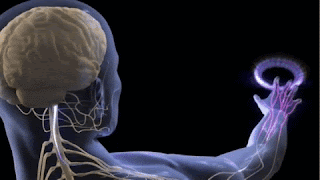 Neuroscience 2019: https://neuroscience.conferenceseries.com