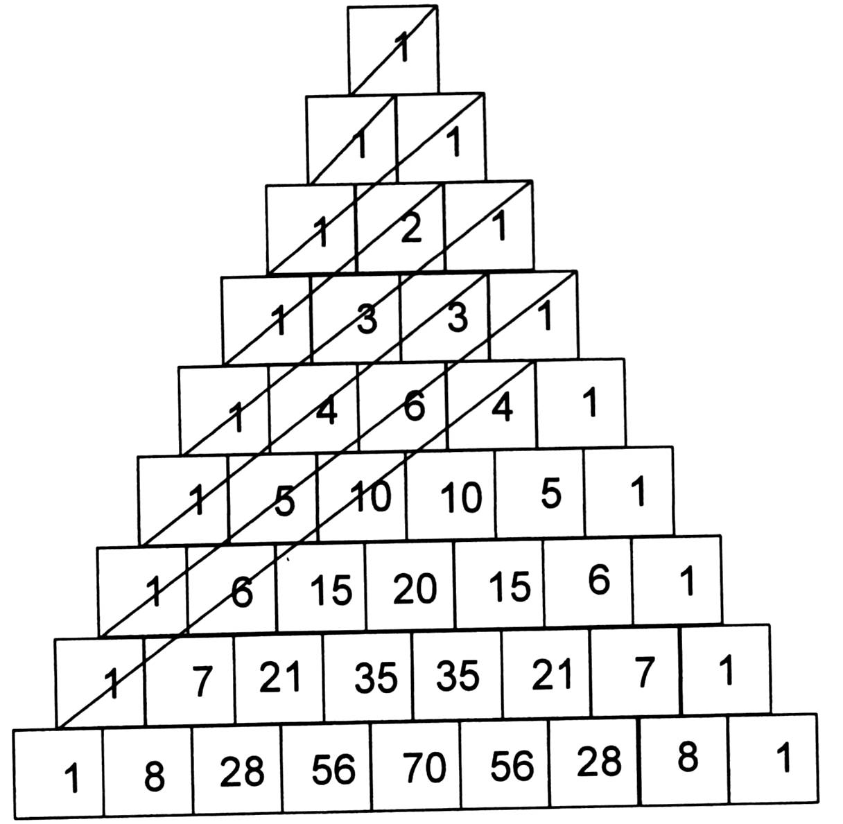 The Mathematical Tourist: Back to Home Base