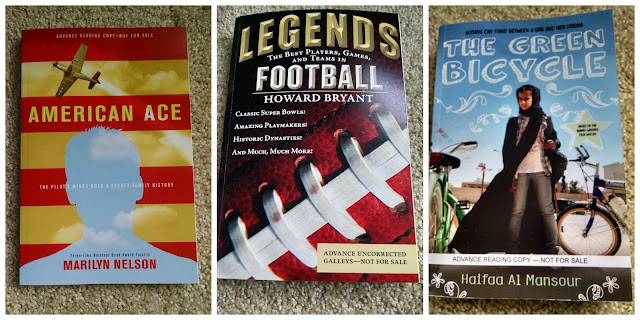 The O.W.L.: Stacking the Shelves Book Fairy Style!