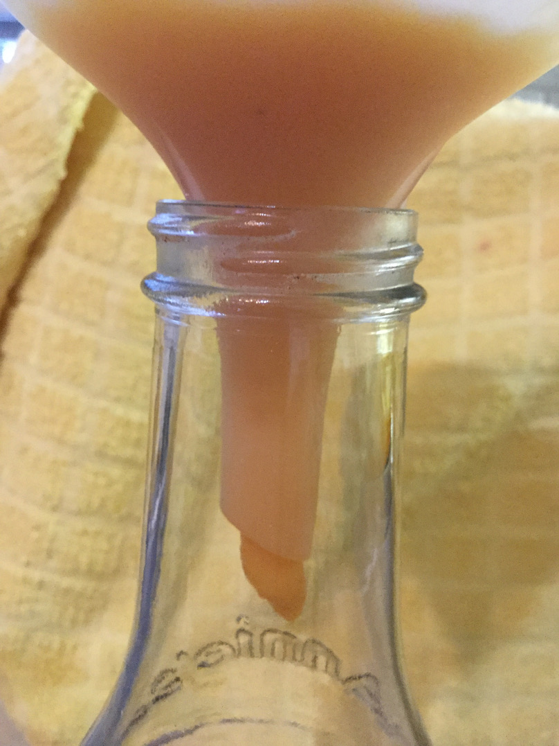 VeggieSue's Veggie Adventures: More Dressing Up with Ann & Jane Esselstyn