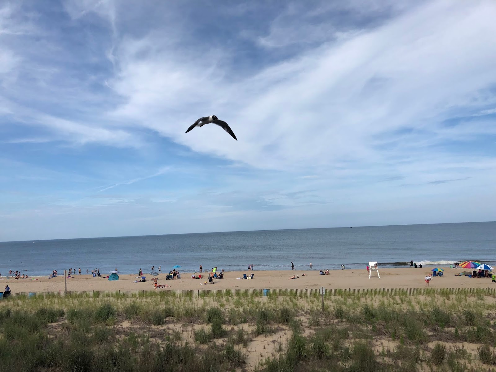 Fun Times....: Beach Vaca Continues