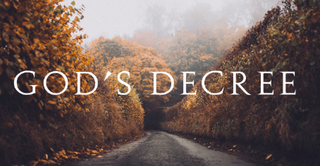 Heavenly Worldliness: 10 Characteristics of God's Decree