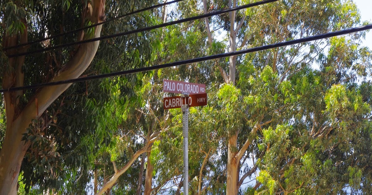 Earth's Internet & Natural Networking: Palo Colorado Canyon Rd, Big Sur ...