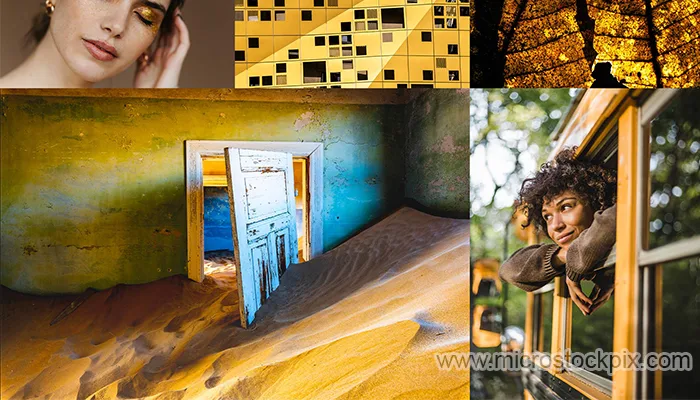 Shutterstock Color Trends Every Year - Technology Tutorials