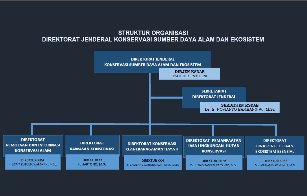 DIREKTORAT JENDERAL KONSERVASI SUMBER DAYA ALAM DAN EKOSISTEM - ARTIKEL LHK