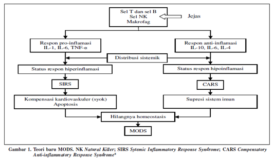 Asuhan Keperawatan Shock dan Kegagalan Multi Organ: DIC, SIRS, SEPSIS ...