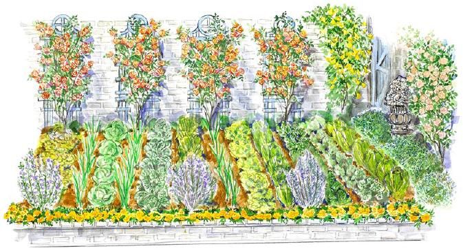 Blog Team Work: Un nou proiect marca Team Work! Grădina Bunicii!