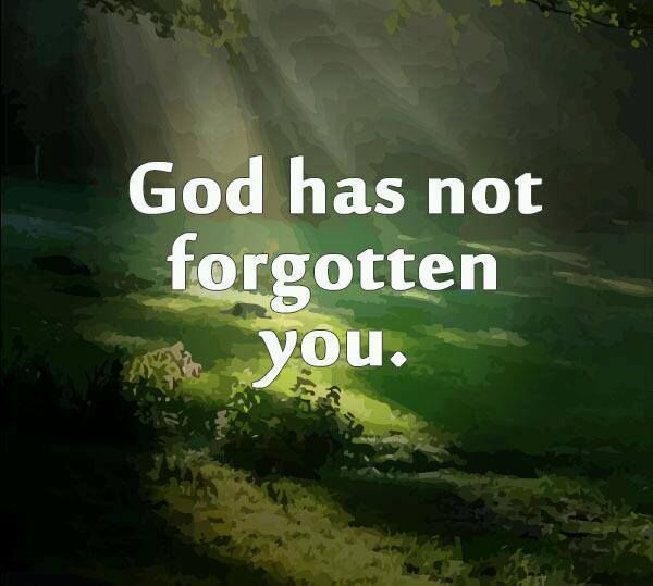 Blessed By The Lord: February 16, 2020 - HAS GOD FORGOTTEN YOU?