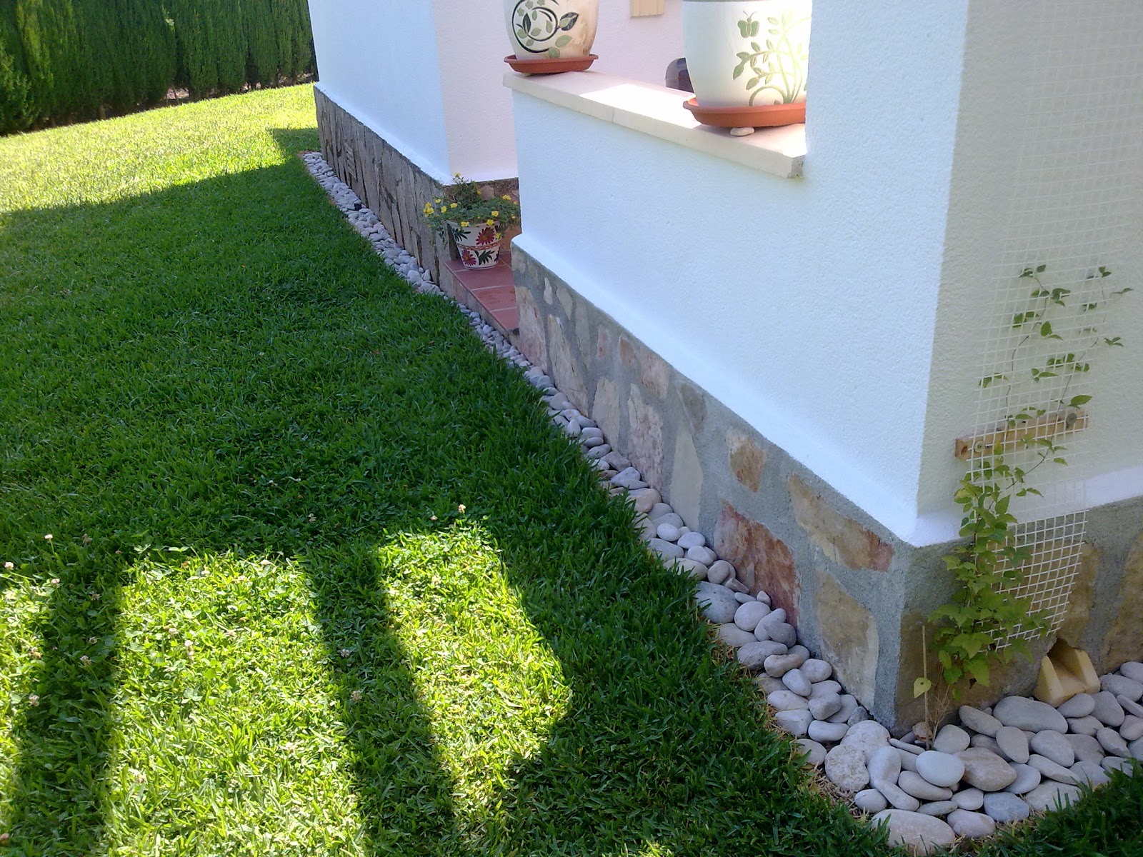 Bob's Bunny -- Bunny slang for rabbit.-- Rabbit: Verb. To talk, often ...