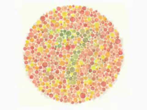 Color Blindness Disease - All Body Disease